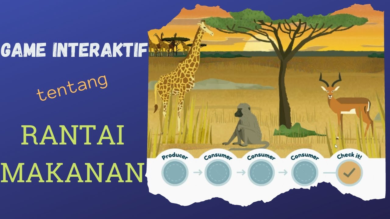 Game Interaktif tentang Rantai Makanan dan Jaring Jaring Makanan - YouTube