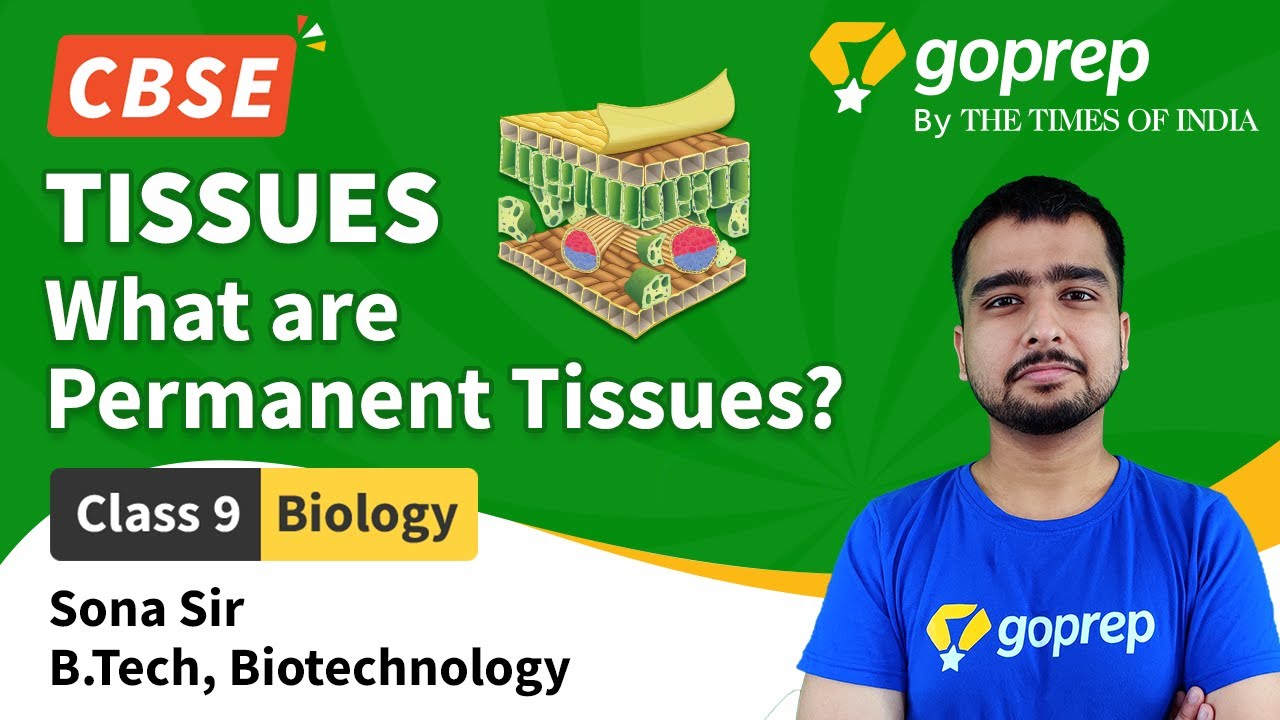 What Are Permanent Tissues CBSE Class 9 Biology Sona Sir NCERT what-are-permanent-tissues-cbse-class-9-biology-sona-sir-ncert