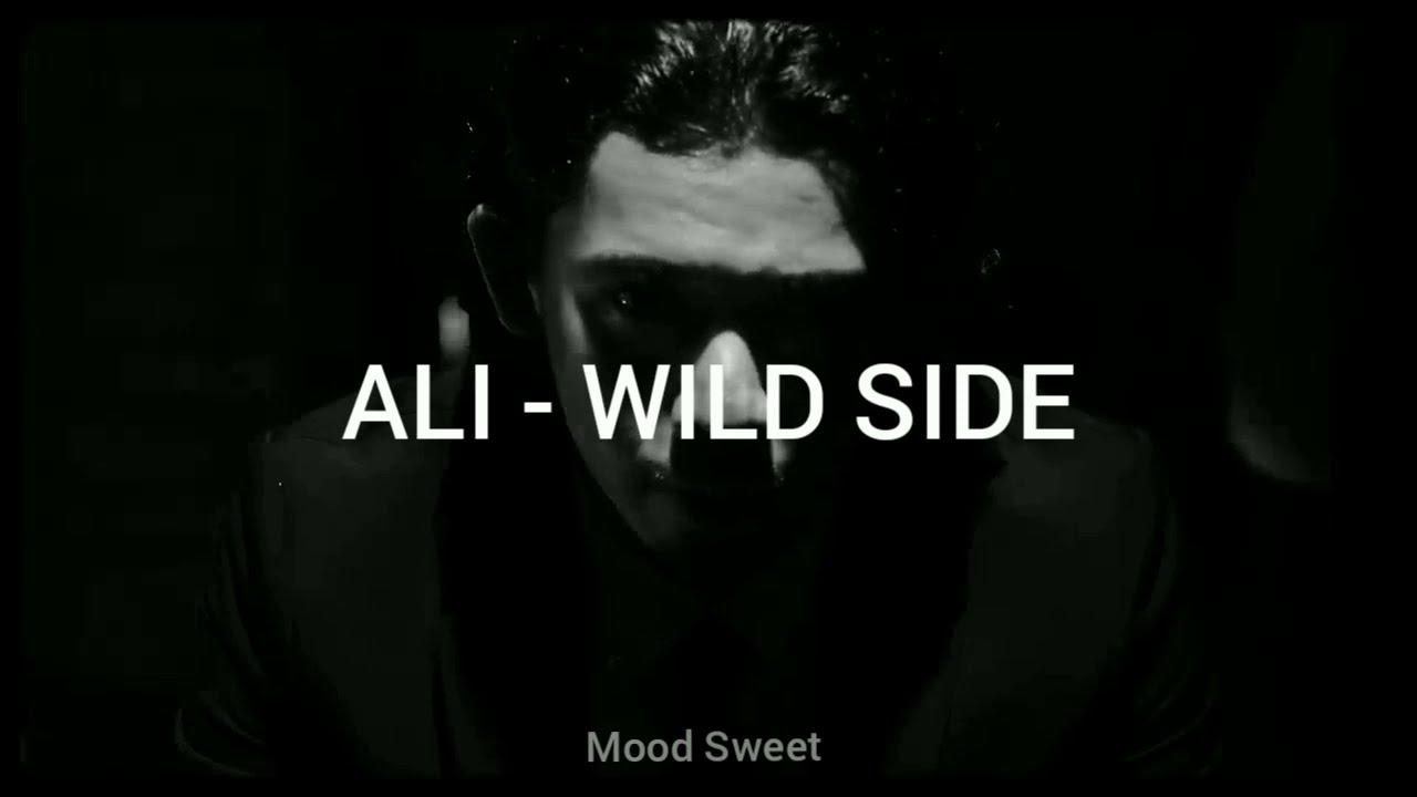 𝘞𝘐𝘓𝘋 𝘚𝘐𝘋𝘌 - 𝘈𝘓𝘐 𝘉𝘌𝘈𝘚𝘛𝘈𝘙𝘚 𝘖𝘗. - YouTube