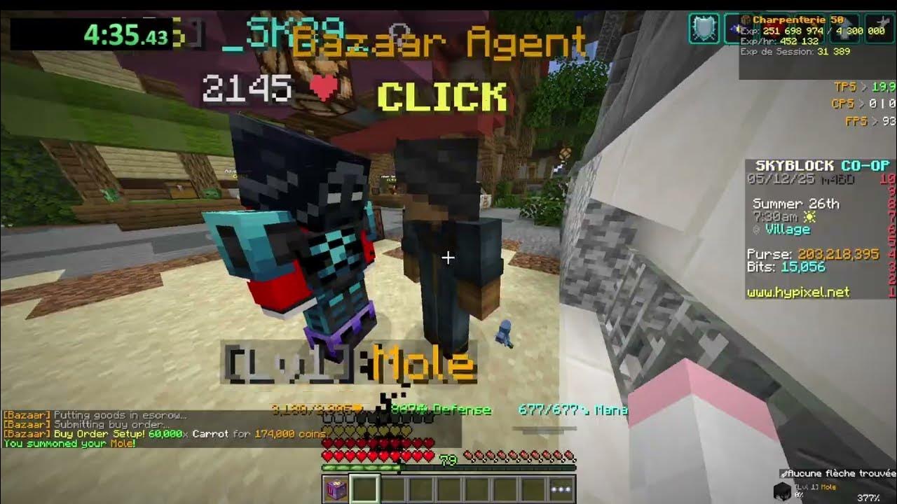 Hypixel Bazaar Flip 0 to 1B || 500M / 1B almost done after 8H of flip ...