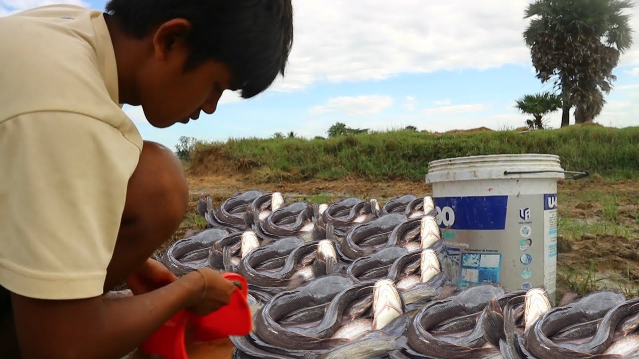 Can This Boy Really Catch Fish Without Water? Unbelievable Fishing ...