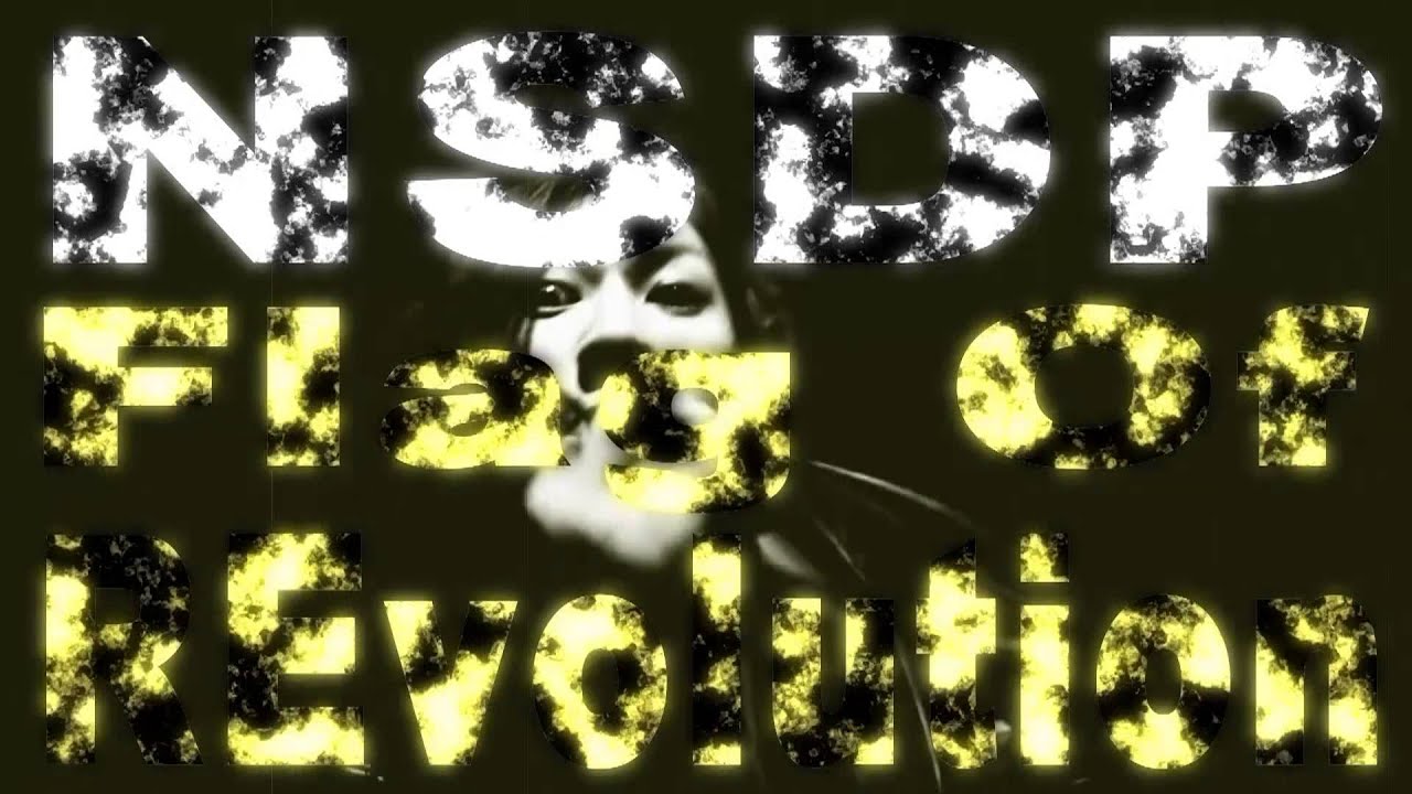 NSDP【Flag Of REvolution】【TRIBALAREA】2in1VIDEO MiX - YouTube