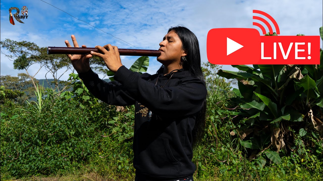 Beautiful Sunny Sunday with Live Music To Relax From Nature - YouTube