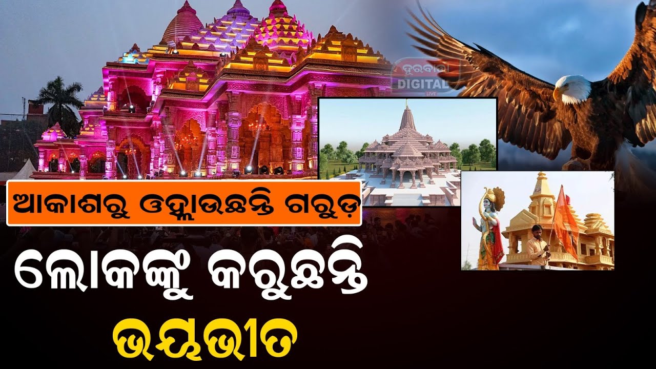 ଆକାଶରୁ ଓହ୍ଲାଉଛନ୍ତି ଗରୁଡ଼ଲୋକଙ୍କୁ କରୁଛନ୍ତି ଭୟଭୀତ || Garuda Pakhi ...