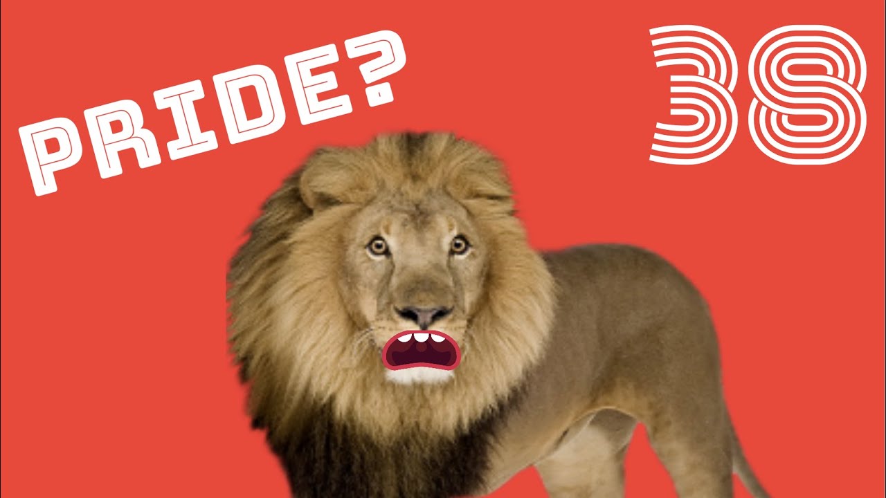 Pride in recovery (AA daily reflection) // 10 minute active meditation ...