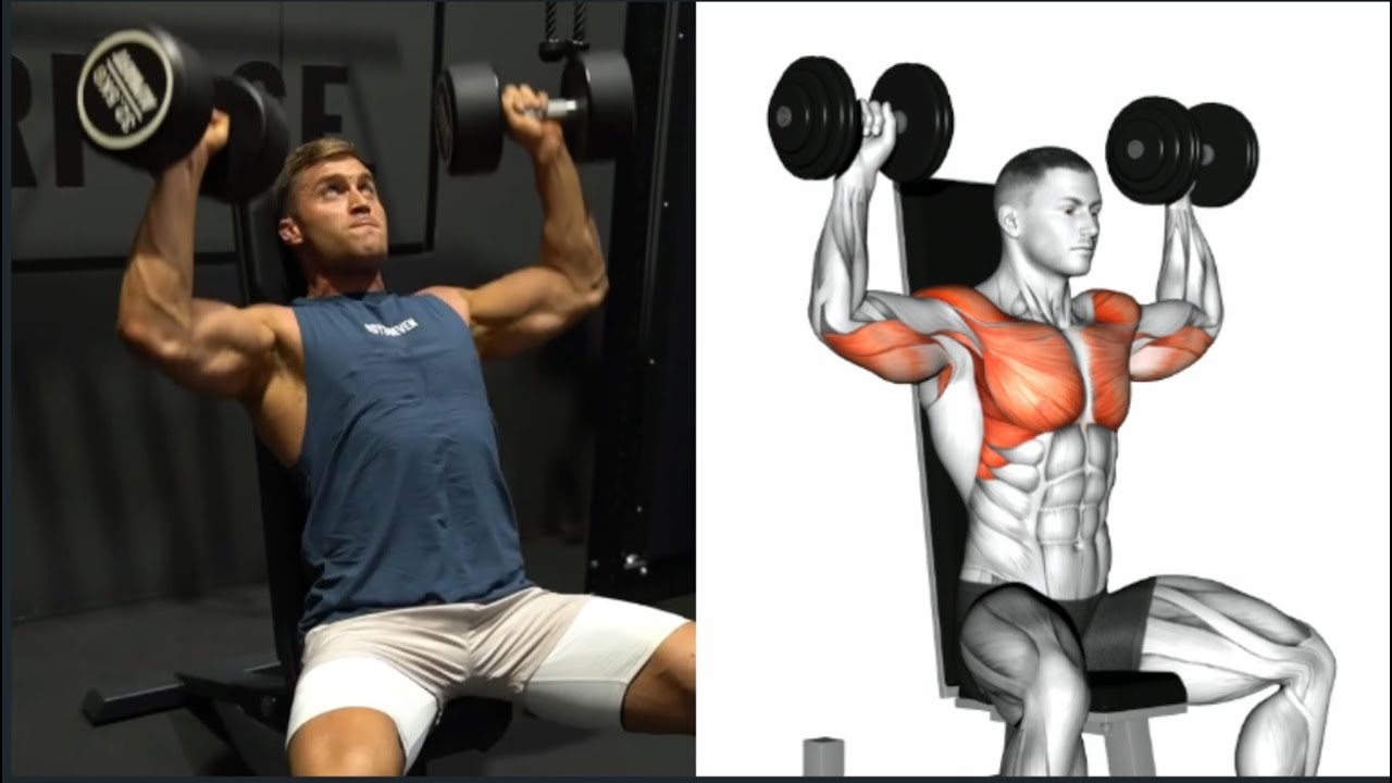 BIG SHOULDER & DELTS WORKOUT - YouTube