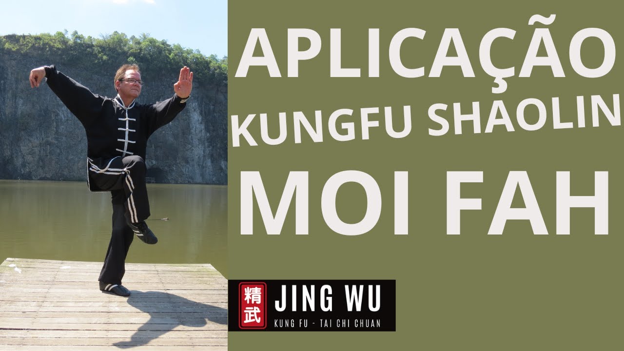 Aplicação |Kung Fu Shaolin 3 - Moi Fah | 第七 路 梅花 少林 拳 - YouTube