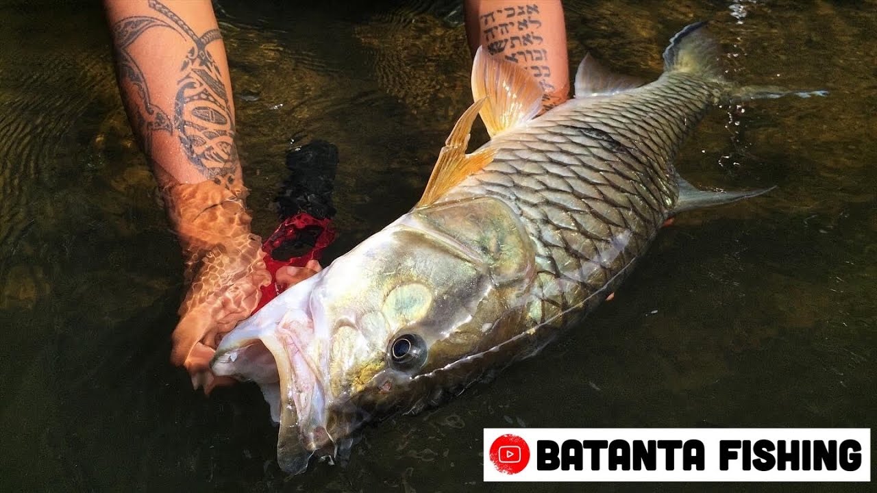 PENAMPAKAN IKAN HAMPALA MONSTER ‼️ YANG DIPANCING DENGAN UMPAN PALSU DI ...