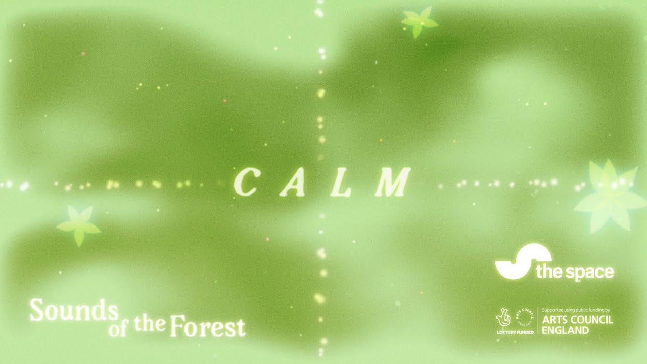 Calm — Sounds of the Forest Soundscapes - YouTube