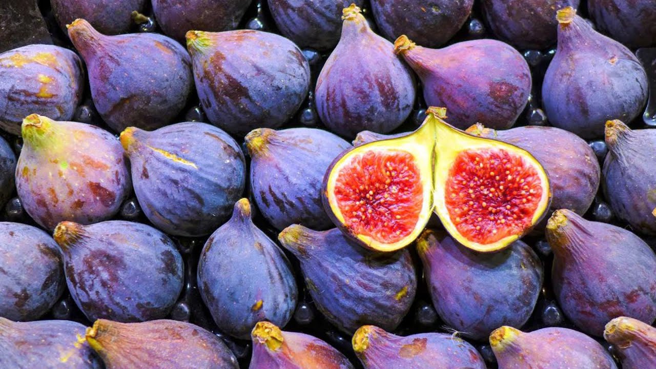 How to Pronounce and Spell Fig - YouTube