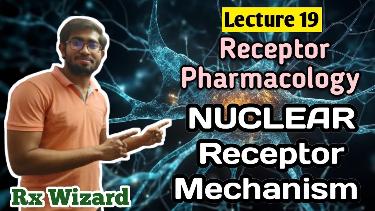RECEPTORS | Nuclear Receptor Mechanism | Pharmacodynamics | Rx Wizard ...