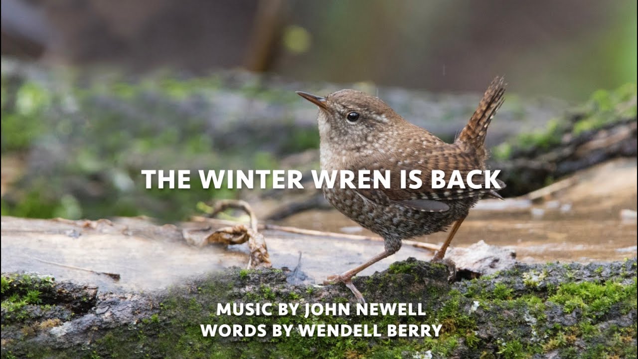 The Winter Wren Is Back (for chorus SATB & piano) - YouTube