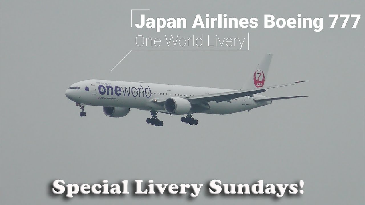 4K| Special Livery Sundays! Beautiful Japan Airlines Boeing 777 In The ...