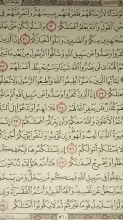 إن الذين كفروا وصدوا عن سبيل الله Youtube