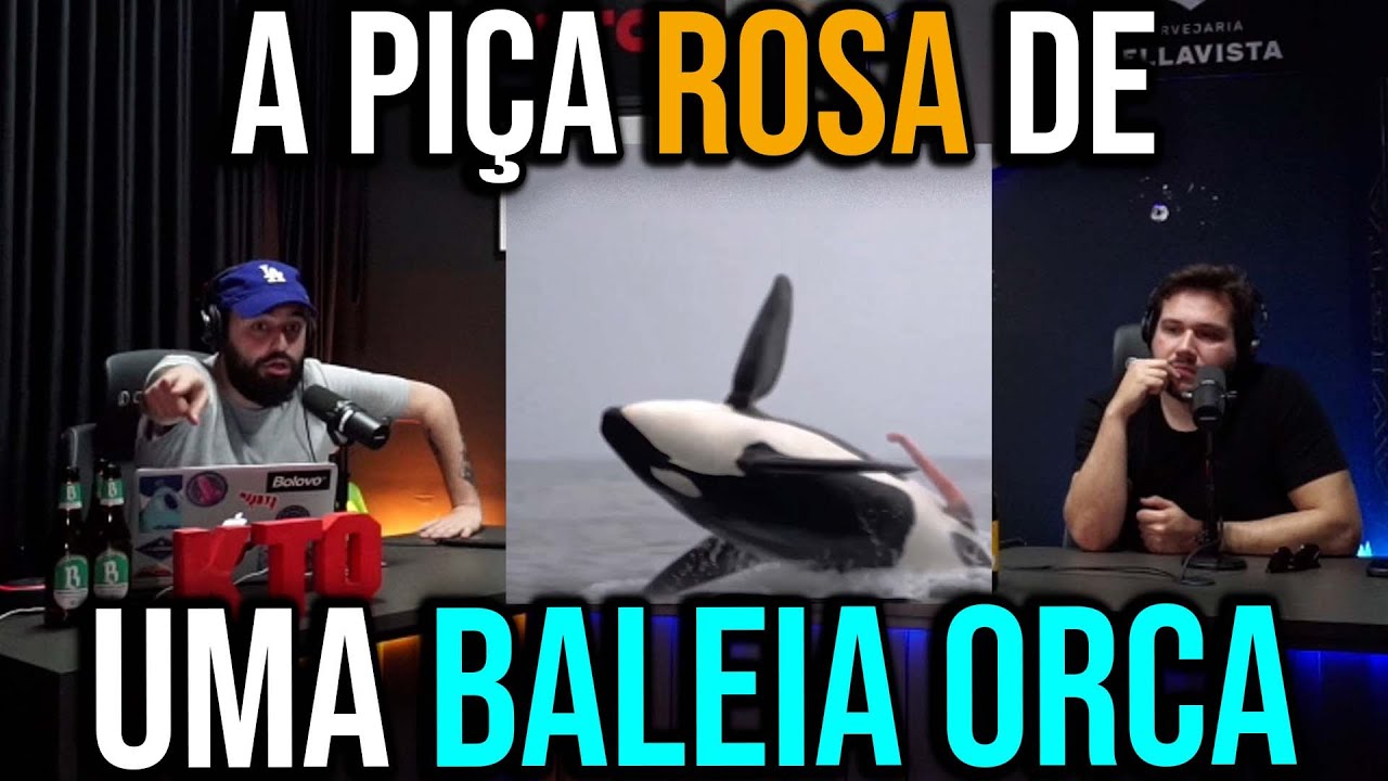 A PIÇ4 Rosa de uma Baleia Orca 😳 - YouTube