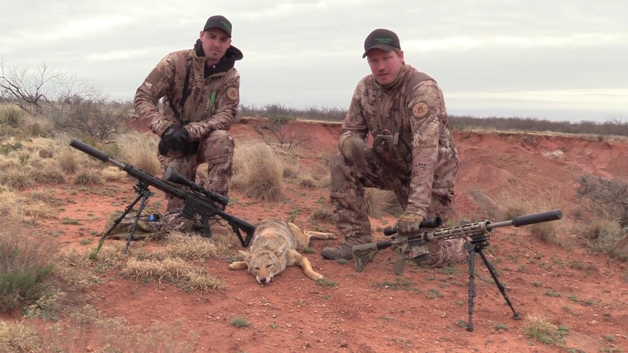 Coyote Hunting "Texas" - YouTube