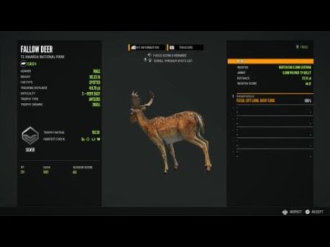 theHunter: Call of the Wild Fallow Deer kill - YouTube