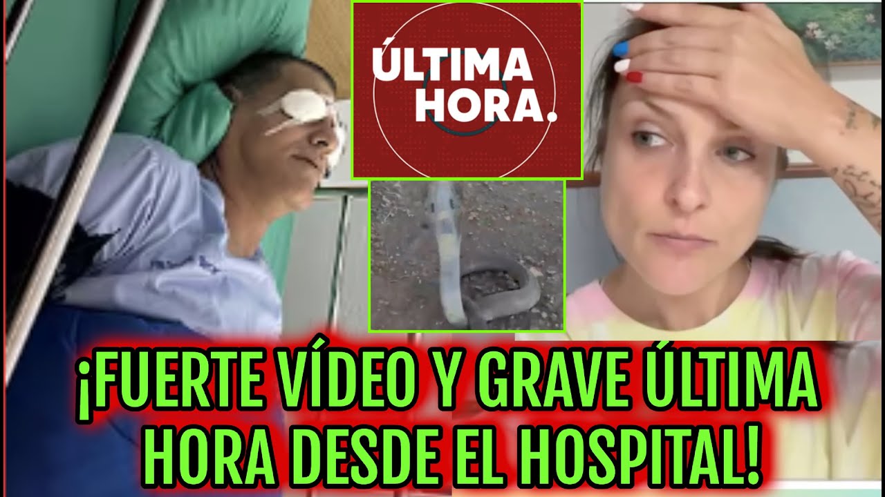 💥TRÁGICO VÍDEO COBRA CONTRA FRANK CUESTA Y PALOMA DA FUERTE ÚLTIMA HORA ...