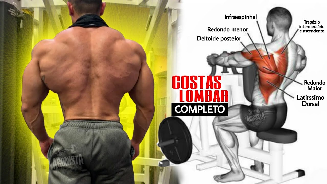 Treino de Costas e Lombar Completo - YouTube