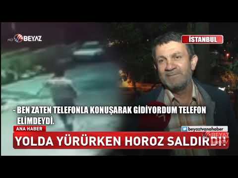 Yolda yürürken horoz saldırdı ve öldü