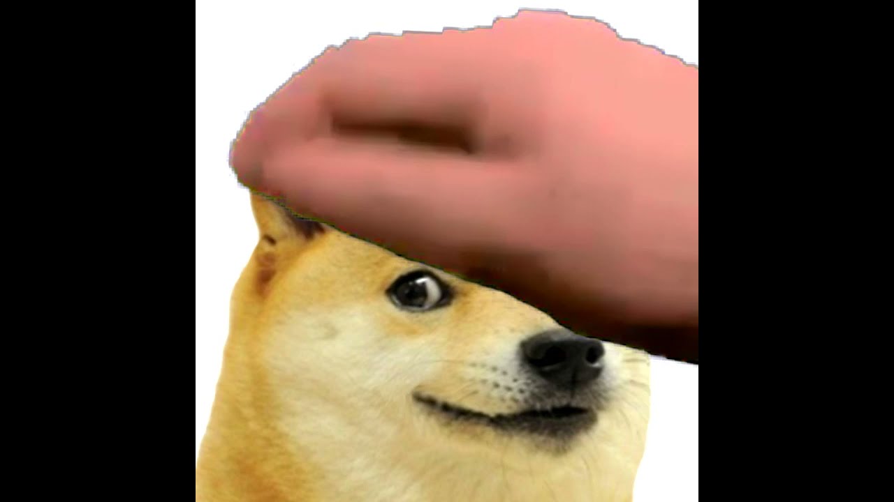 Pet the doge. - YouTube