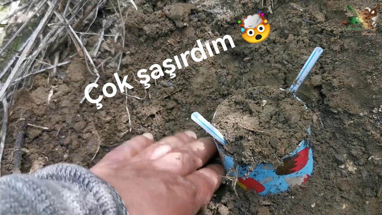 Yediuyur öldü mü, Yaşıyor mu yoksa çıkıp gitti mi? Bakmaya gittim ...