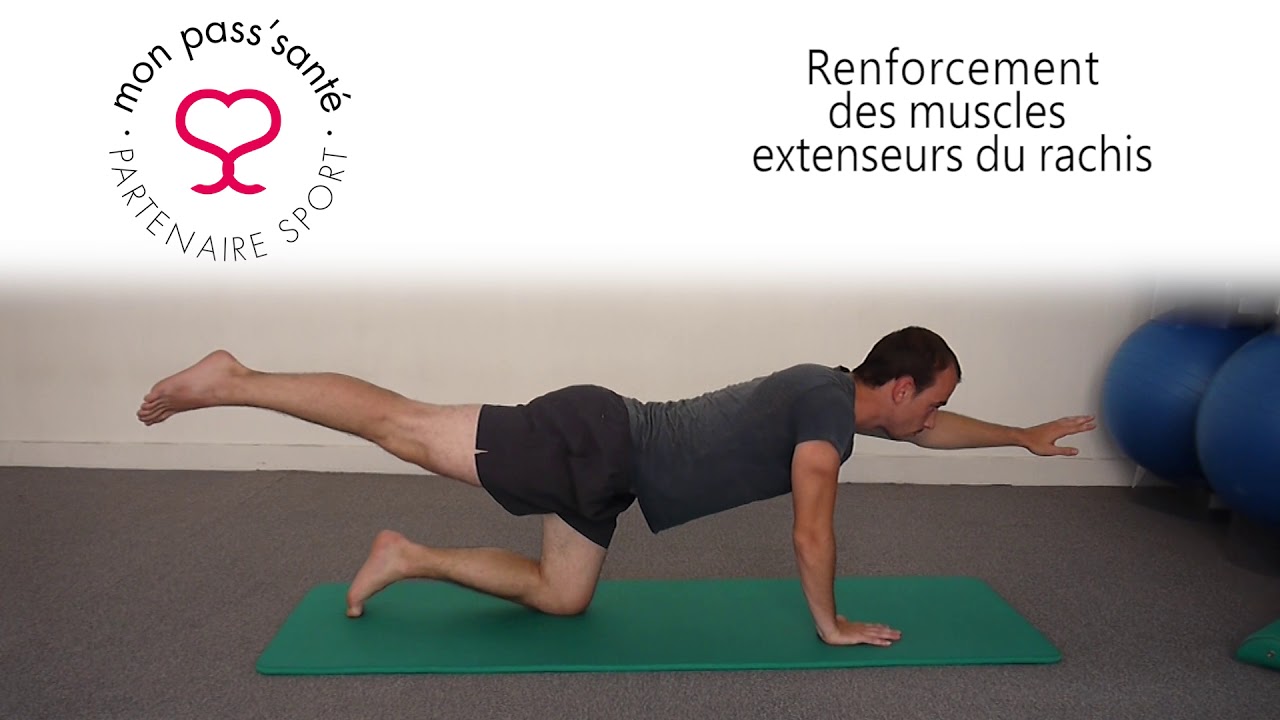 MP2SA - R7 - Renforcement des muscles extenseurs du rachis - YouTube