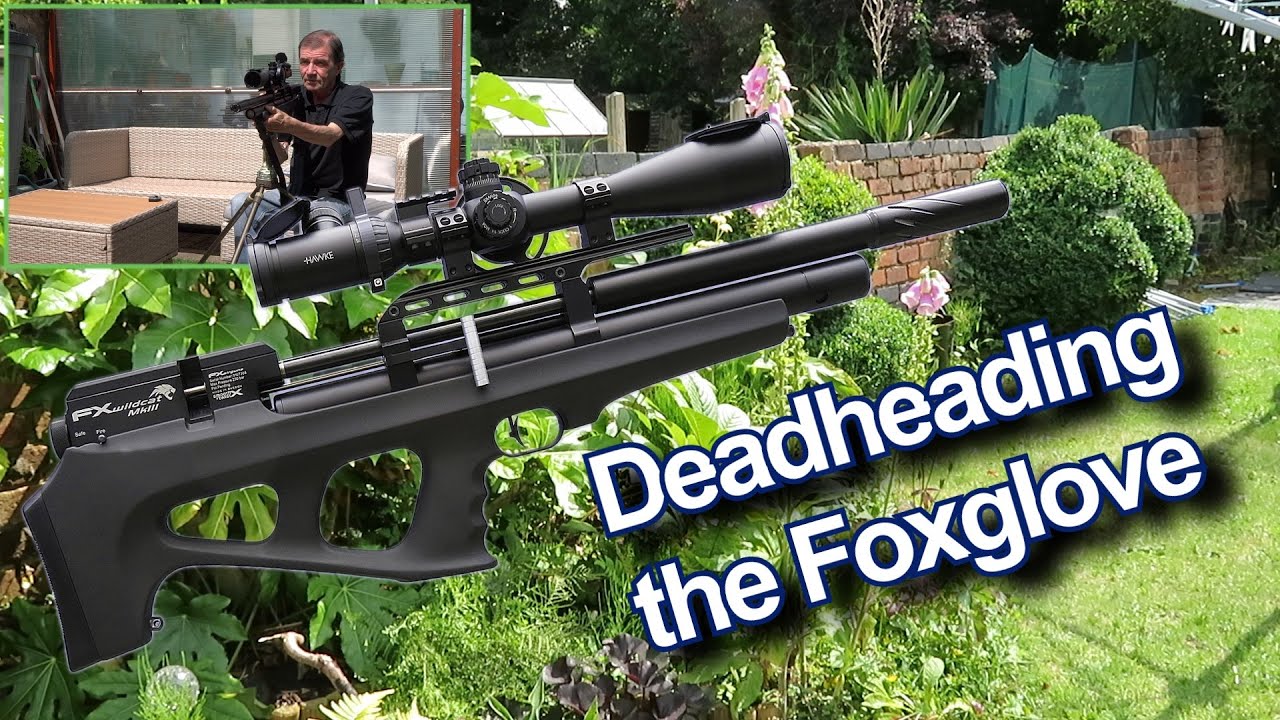 FX WildCat MK3 - Deadheading the Foxglove - YouTube