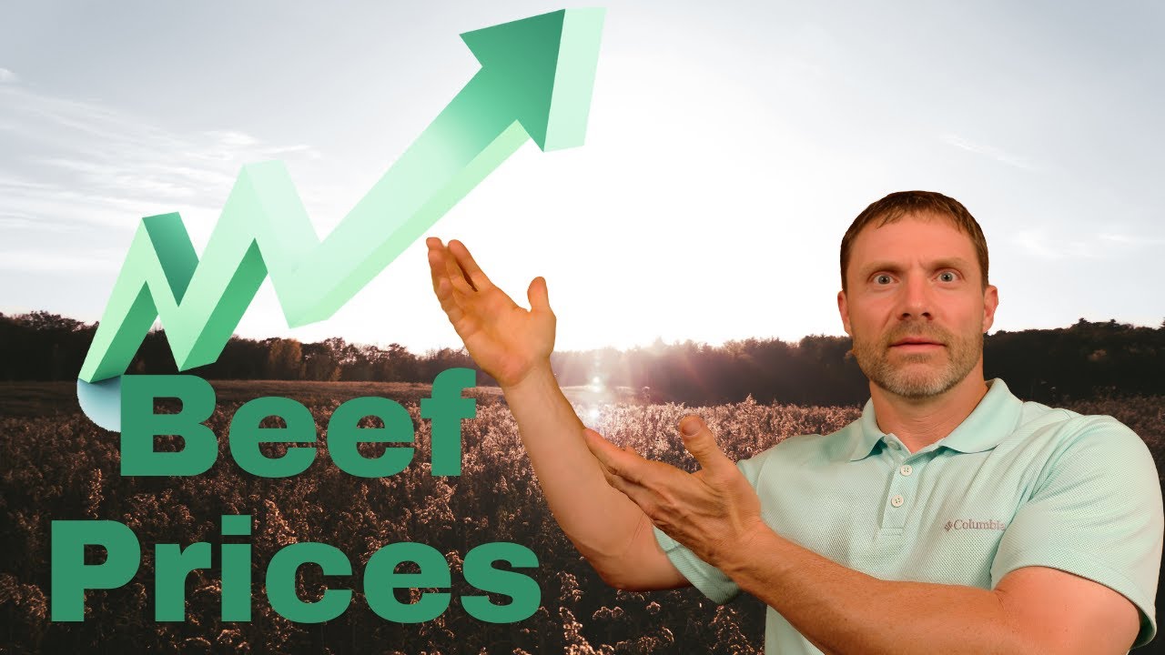 Save Money on Beef! Local Farm Beef Prices vs. Grocery Stores Explained ...