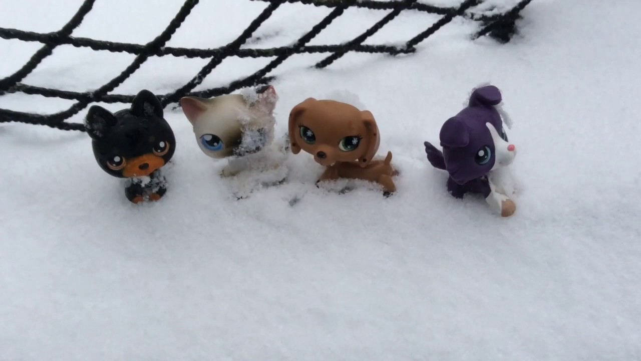 LPS snow video ( ft newcomers! ) - YouTube