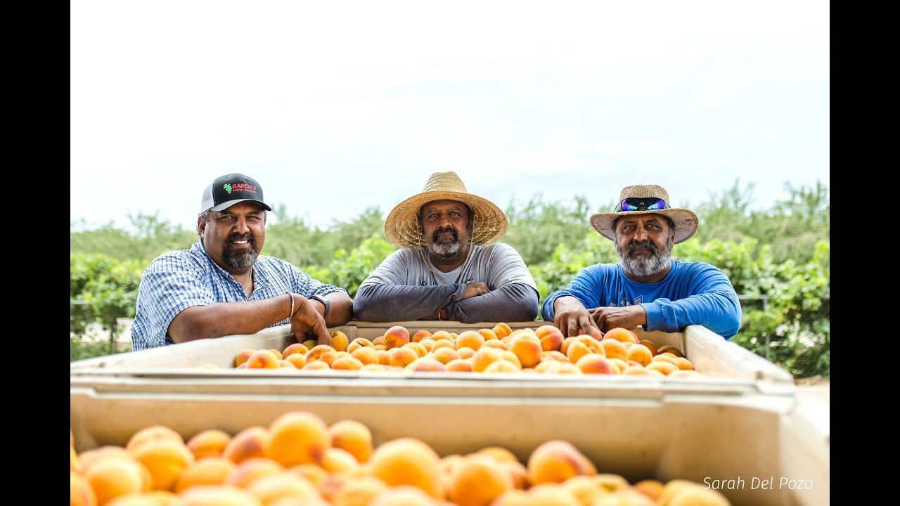 Support the Fresno-Merced Future of Food Innovation (F3) Initiative | # ...