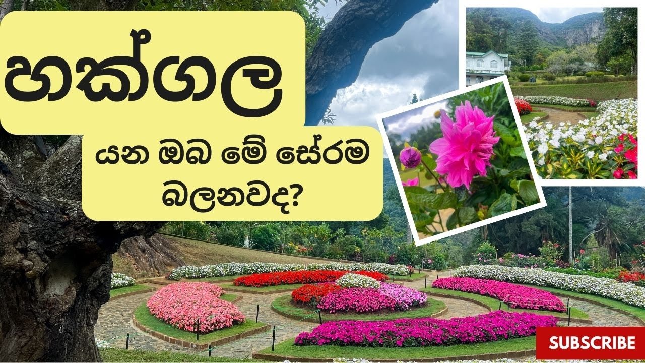 Hakgala Botanical Garden | Haggala Flower Garden | හක්ගල මල් වත්ත ...