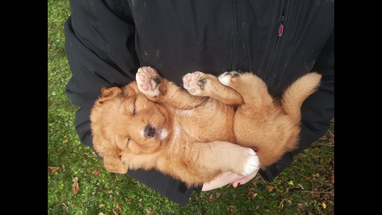 Exploring outside life... - YouTube