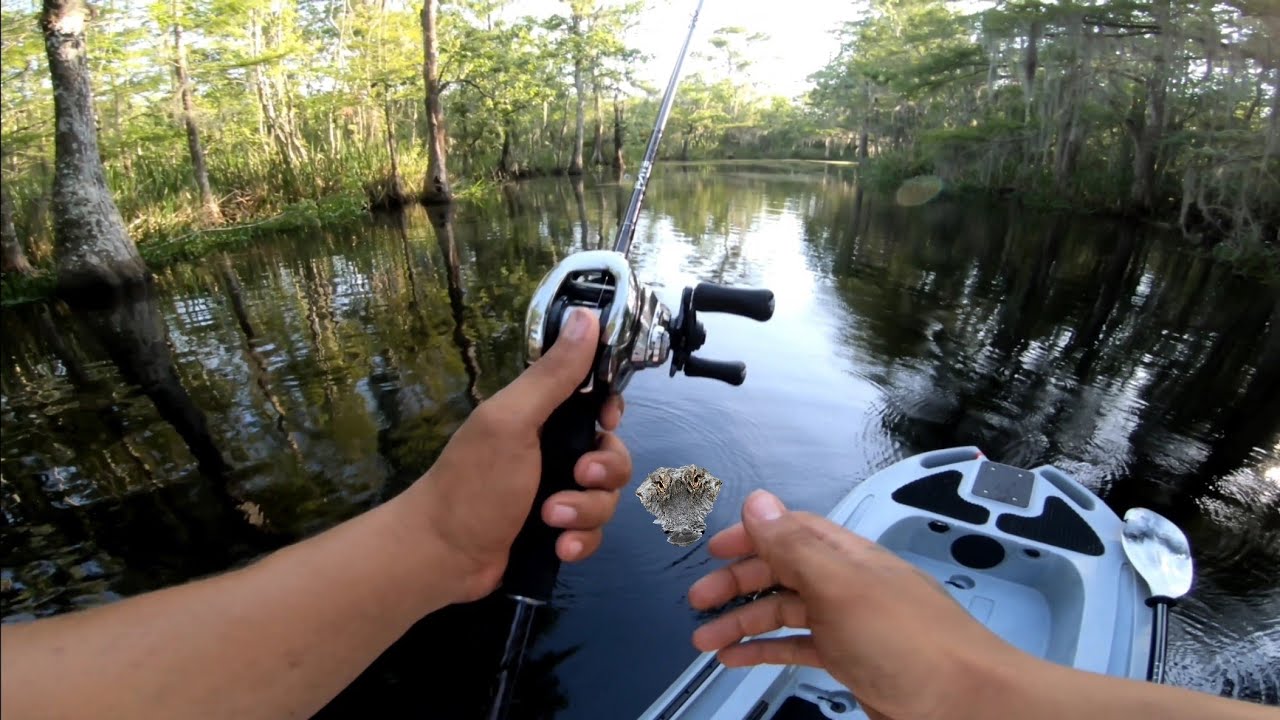 Louisiana SWAMP Fishing (Spiders & Gators & Gars) - YouTube