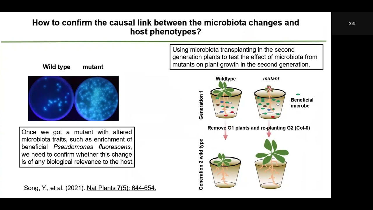 iMeta | Understanding the genetic bases underlying plant-mediated “cry ...