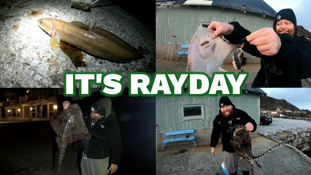 Fishing for rays in southern Norway - YouTube