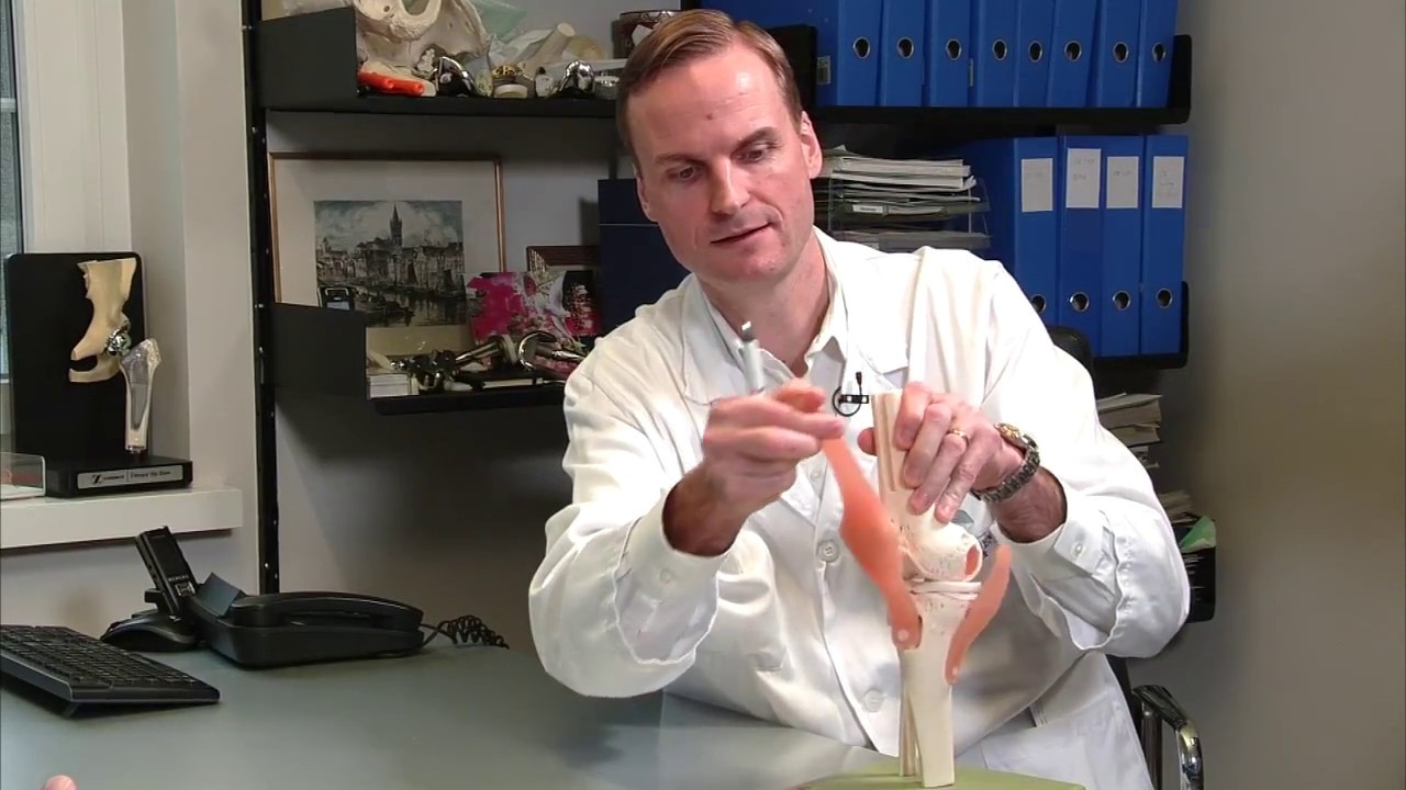 Interview mit PD Dr. Fabian von Knoch - YouTube