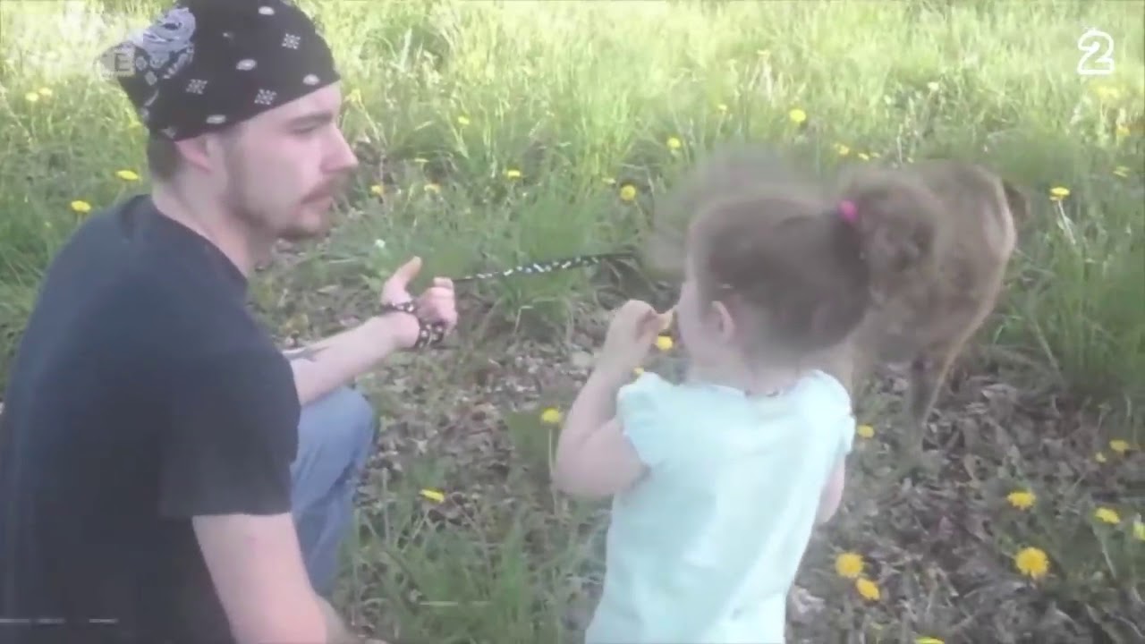 TOP 5 Real Found Footage 5 Scary Lost tapes Part V - YouTube