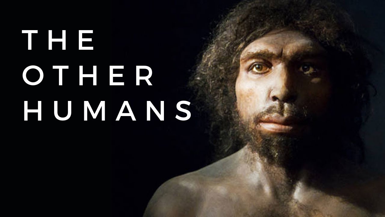 Homo Luzonensis | Why the discovery of a new species of human matters ...