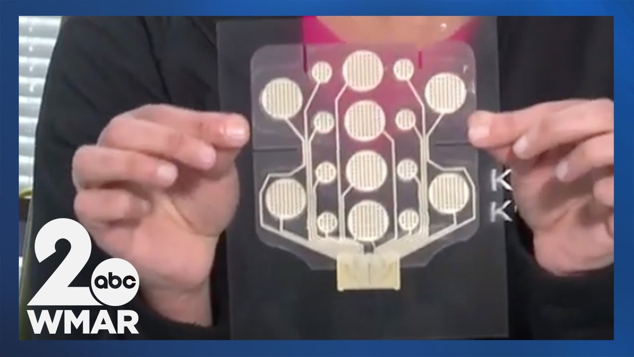 New technology under study to revive mobility to those with spinal cord injuries - YouTube