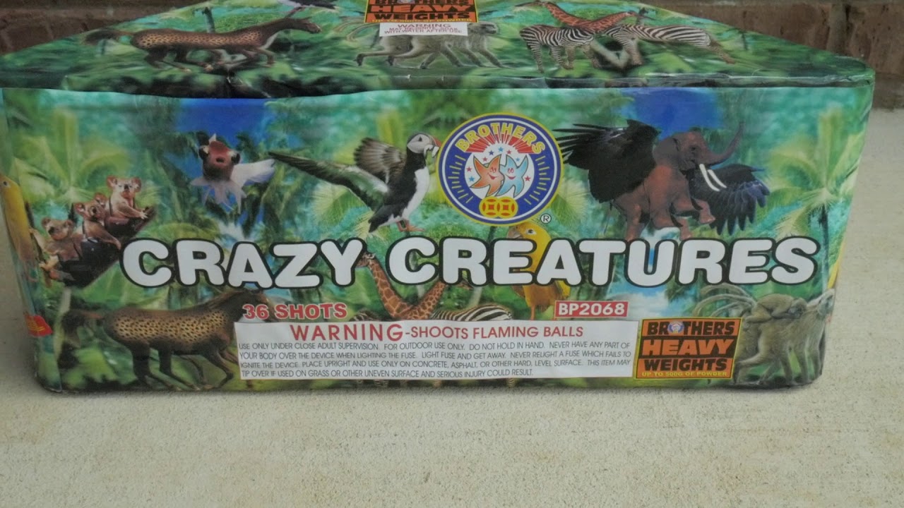 BROTHERS CRAZY CREATURES - YouTube