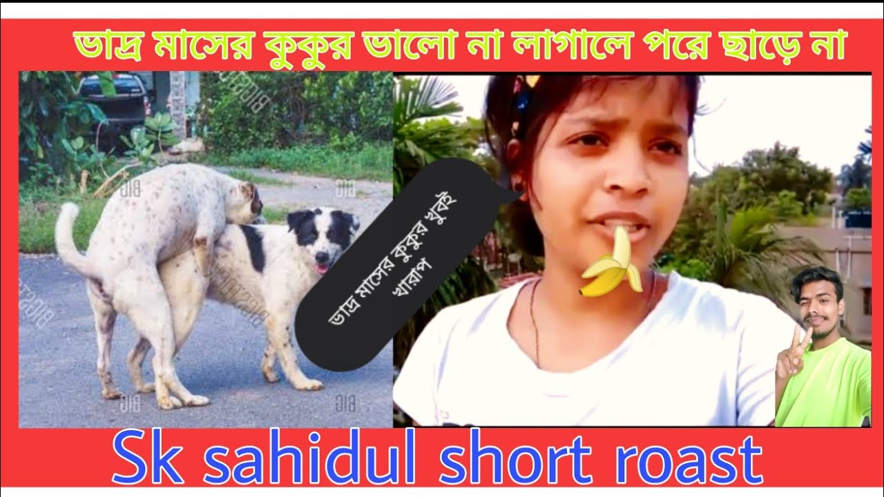 #Sk sahidul short roast. ভাদ্র মাসের কুকুর বেশি ভালোনা লাগালে পরে ছাড়ে ...