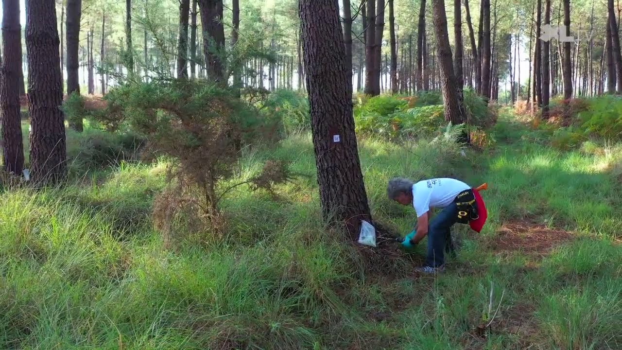 Et que recoule la résine ! - YouTube