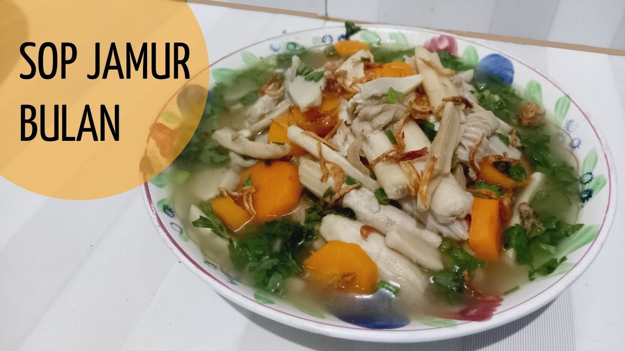 SOP JAMUR BULAN - YouTube