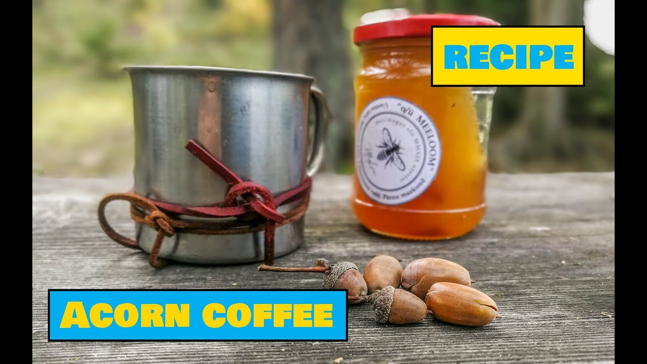 How to Make Acorn Coffee - Easy Outdoors Drinks - YouTube