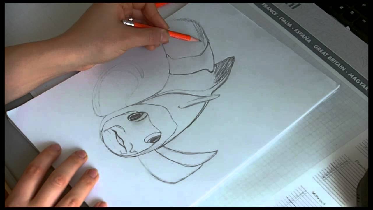 how to draw a nemo fish [reupload] - YouTube