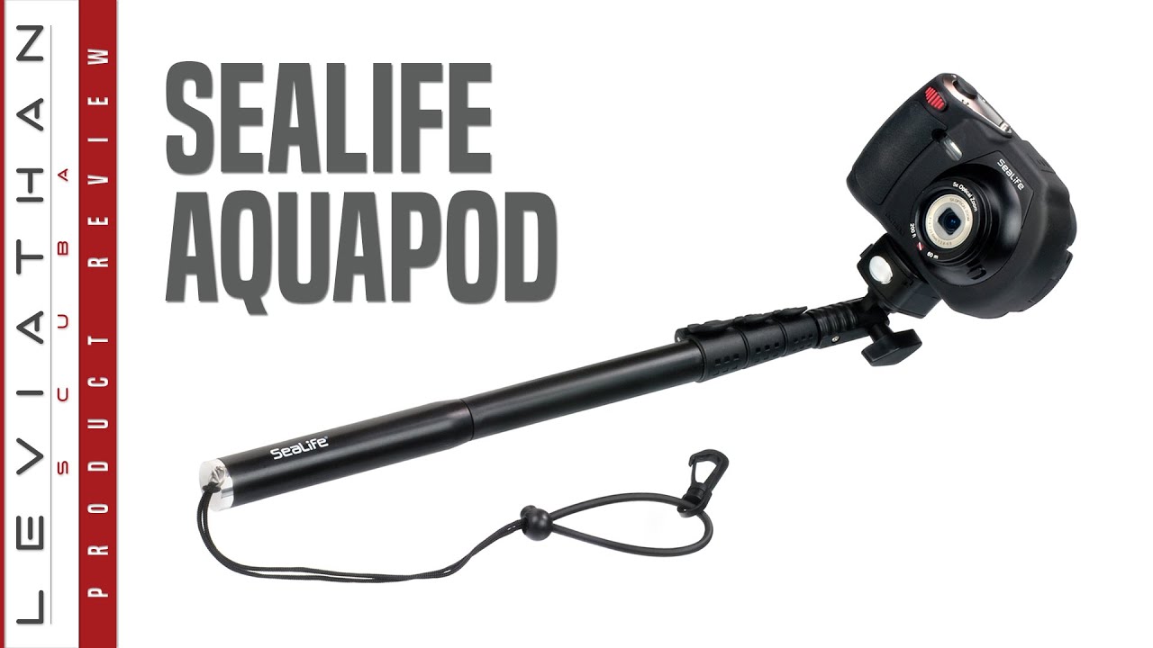 Sealife Aquapod Product Review - YouTube