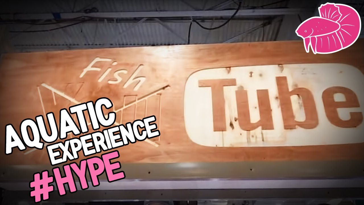 The Aquatic Experience - Simply Betta Convention Hype Video! - YouTube