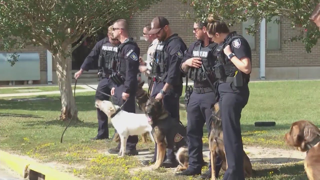 Memorial held for K-9 Rico after line-of-duty death in Charleston ...