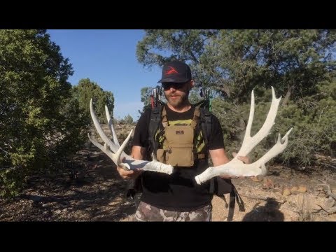 Arizona Strip Shed Hunting The Land Of Giants 220" Class Mule Deer ...